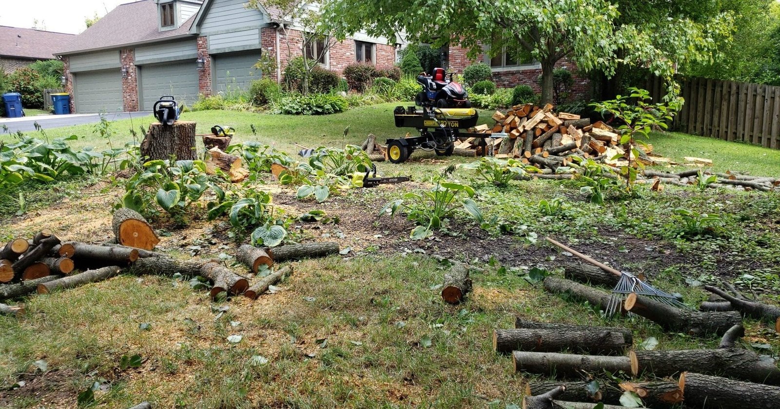The Complete Tree Services Solution: From Pruning to Removal - Eco Home ...
